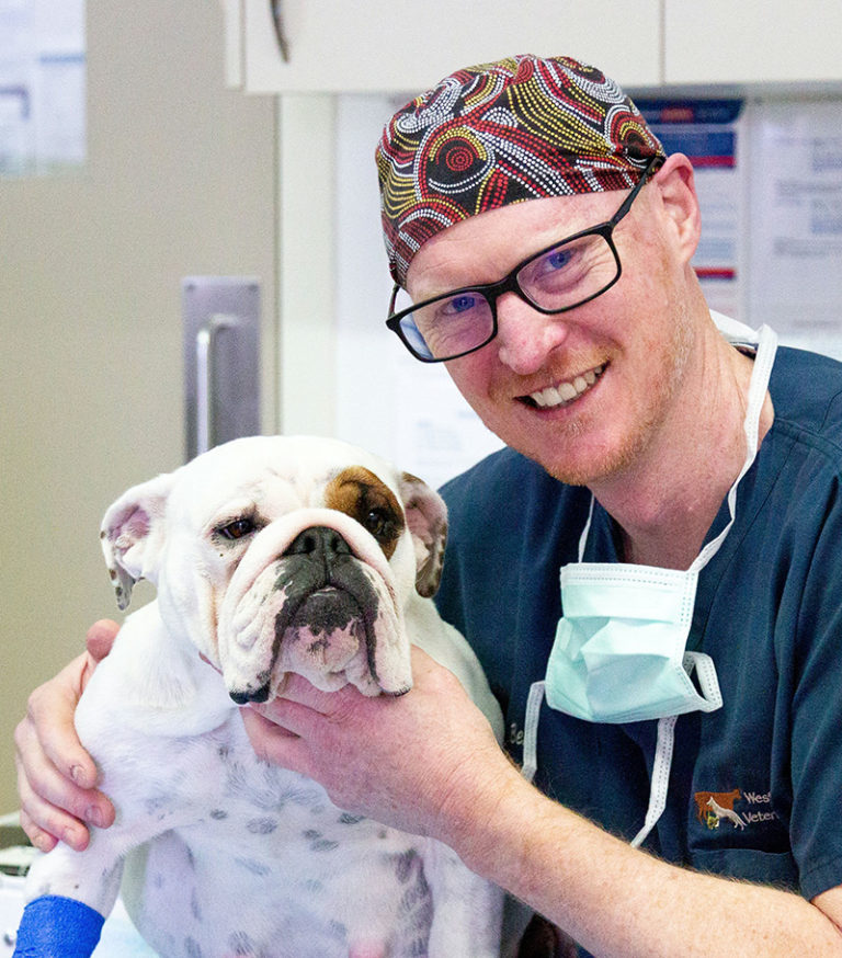 West Gippsland Vet Care | Warragul & Drouin | Open 6 Days a Week